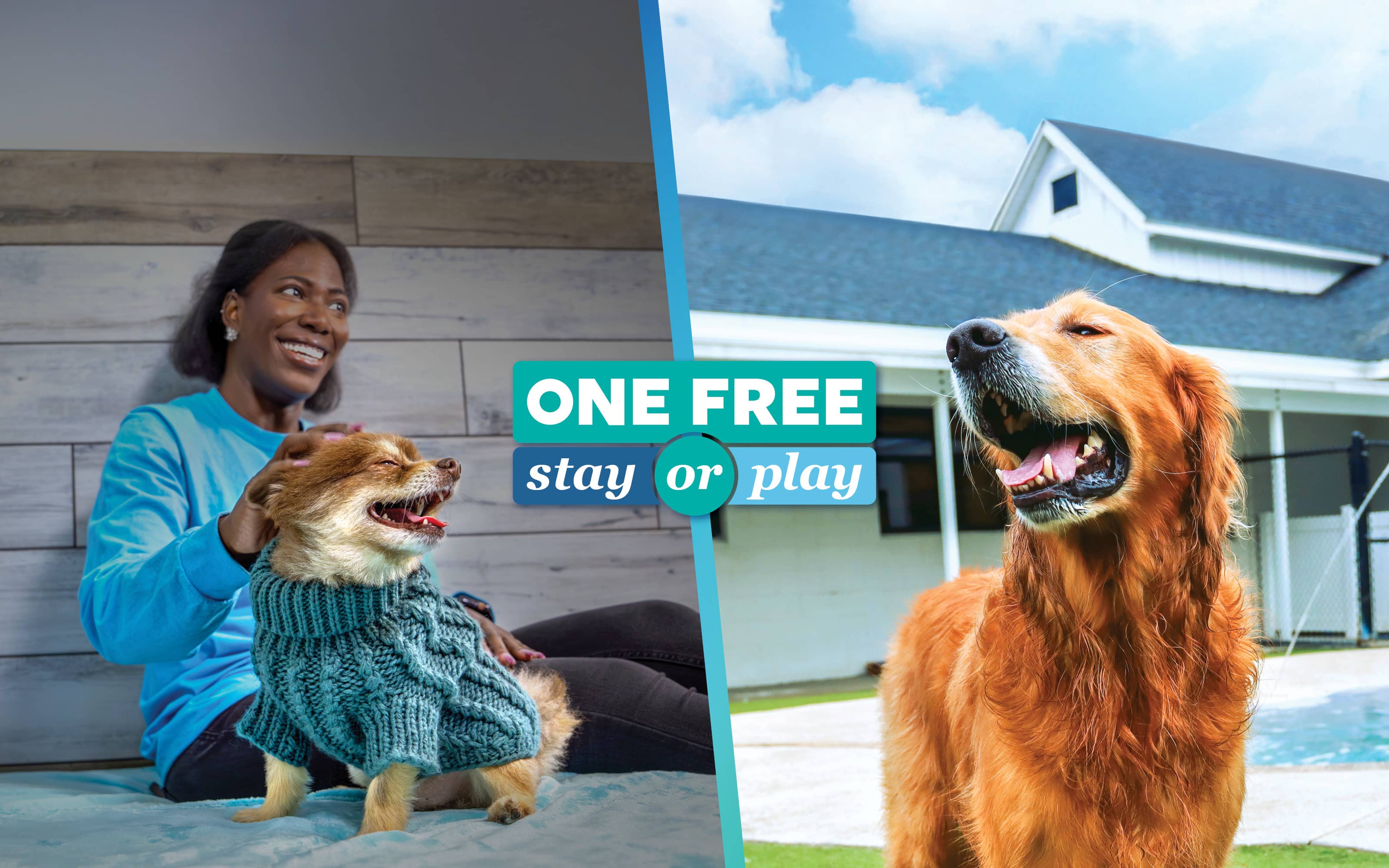 One Free Stay or Play Reservation | Pet Paradise